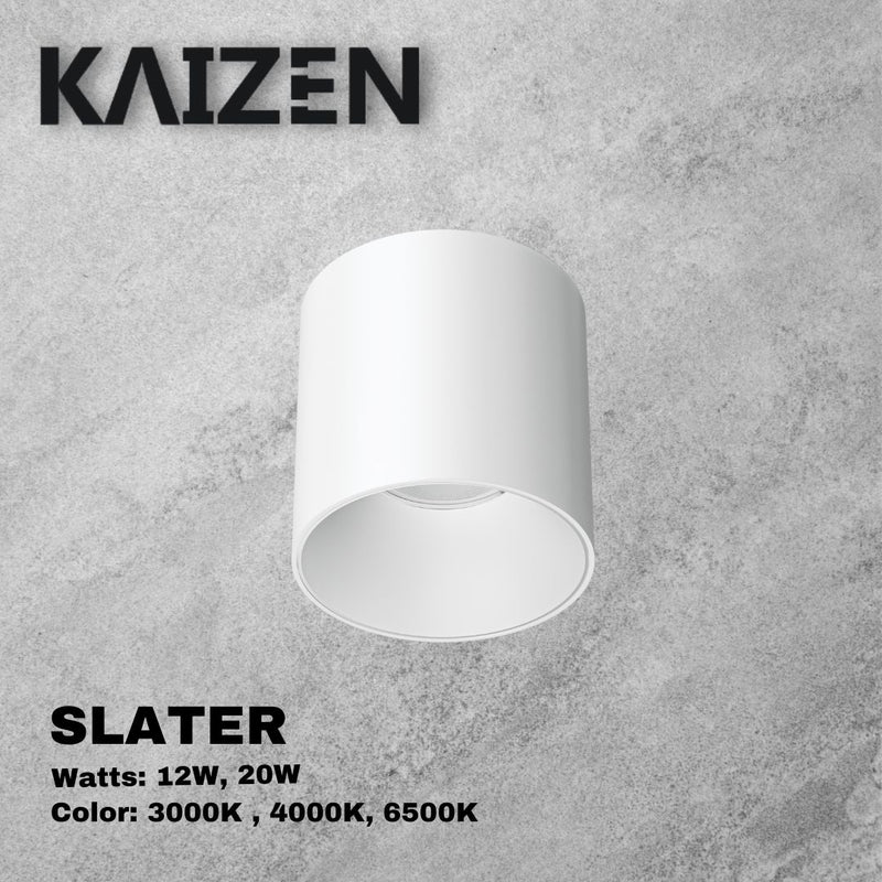 Kaizen Surface Mounted Down Light – Kaizen Philippines