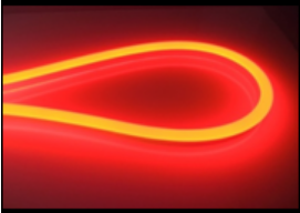 Kaizen 12V LED Neon Lights 8mm – Kaizen Philippines